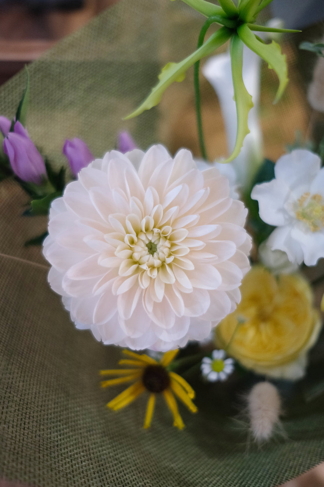 All Cut Flower – Green Orbs
