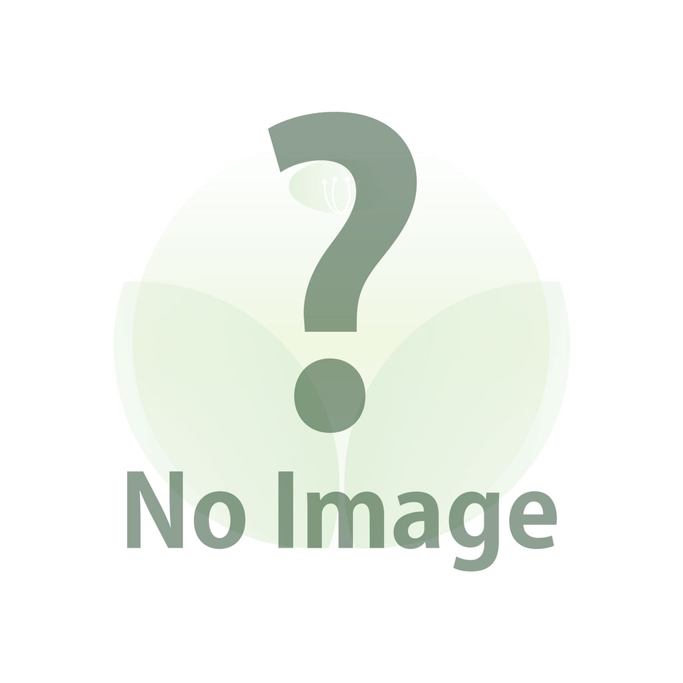 Anemone Bi-Purple – Green Orbs